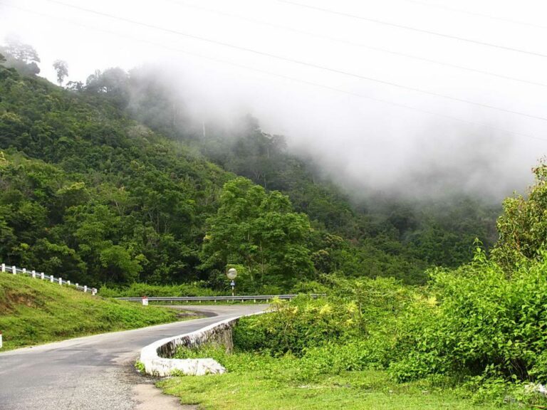Experience Beautiful Pass Roads In Da Lat - Vietnam Travel Documents
